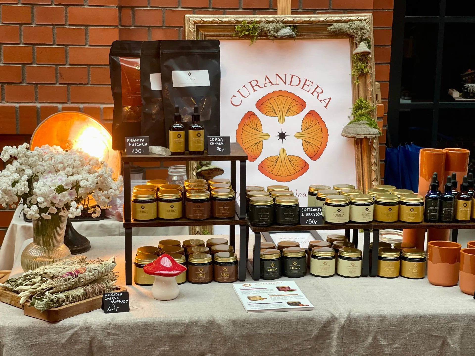 Curandera - Grzyby Lecznicze